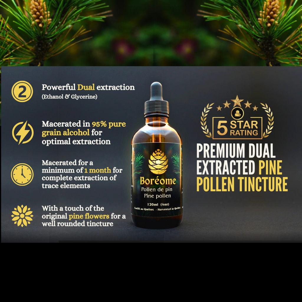 Boreome Pine Pollen Wildcrafted Extract - 120ml (4oz) Tincture