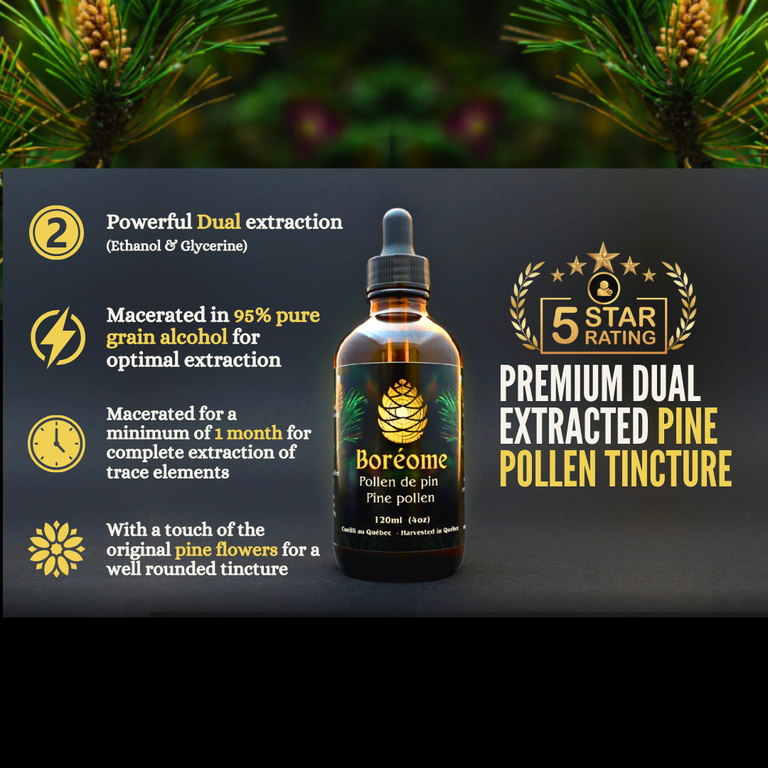 Wildharvested pine pollen extracts | 100% Canadian made – Boreome