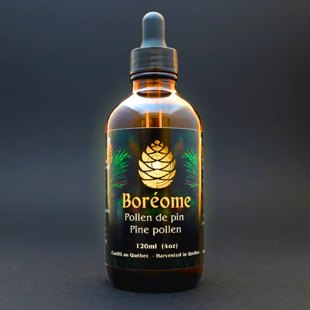 Wildharvested pine pollen powder & extracts | 100% Canadian made – Boreome