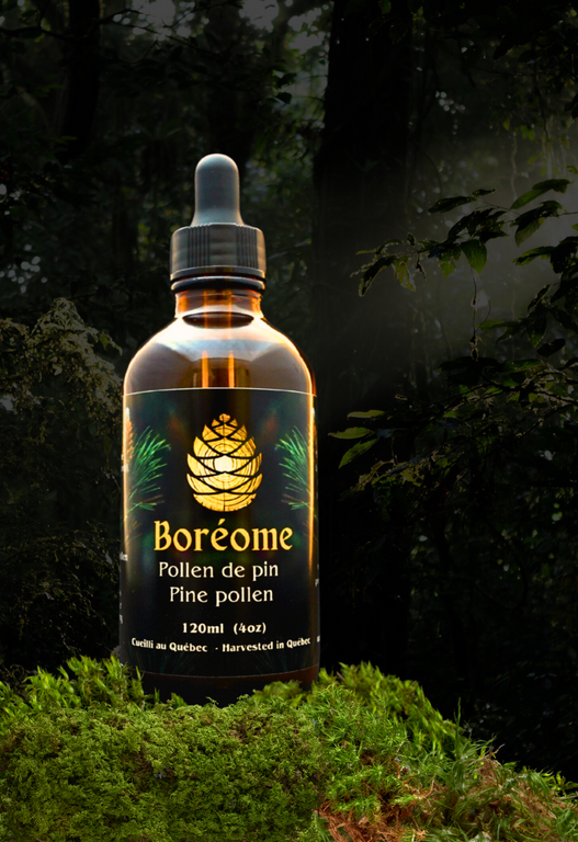 Canadian made | High quality pine pollen extract - 120ml (4oz) – Boreome